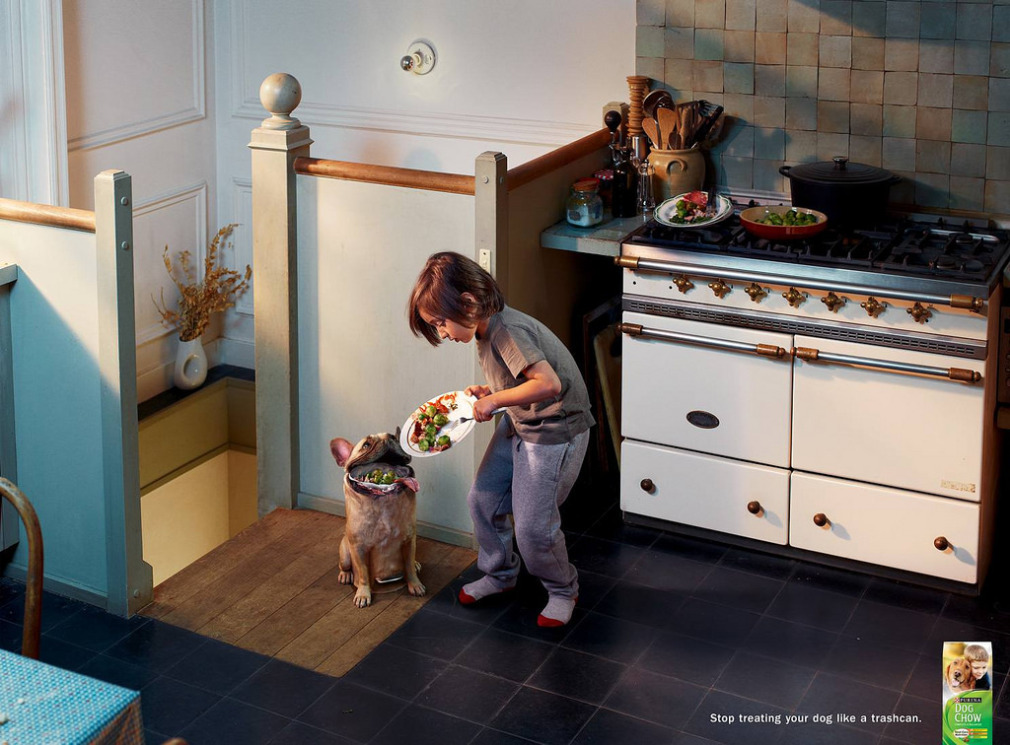 34 Of The Most Influential Animal Ads Of All Time InyMiny