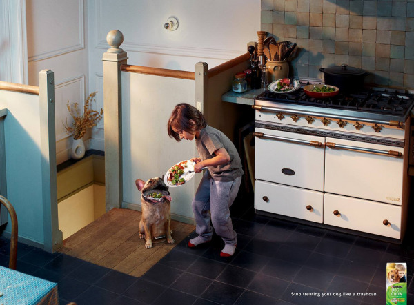 34 Of The Most Influential Animal Ads Of All Time InyMiny