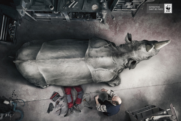 34 Of The Most Influential Animal Ads Of All Time InyMiny