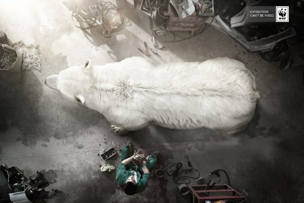 34 Of The Most Influential Animal Ads Of All Time InyMiny
