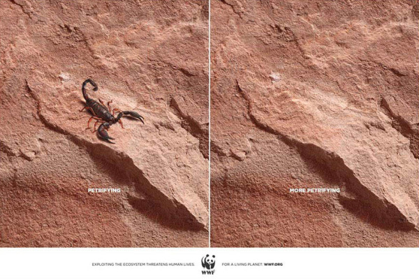 34 Of The Most Influential Animal Ads Of All Time InyMiny