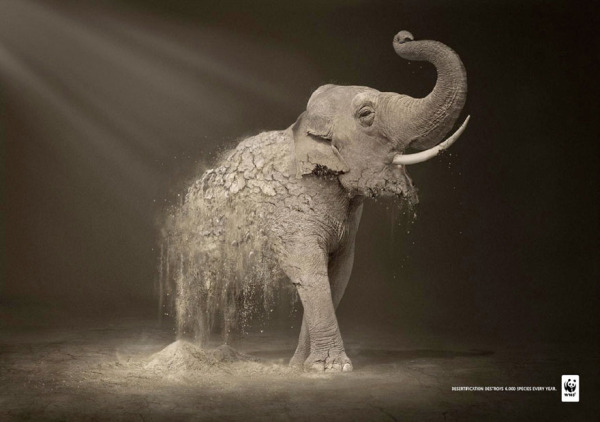 34 Of The Most Influential Animal Ads Of All Time InyMiny