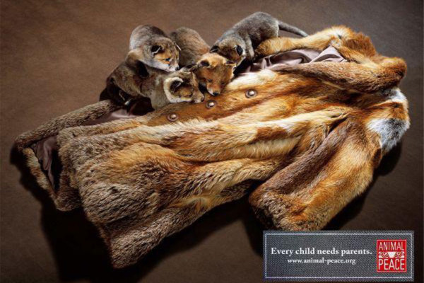 34 Of The Most Influential Animal Ads Of All Time InyMiny