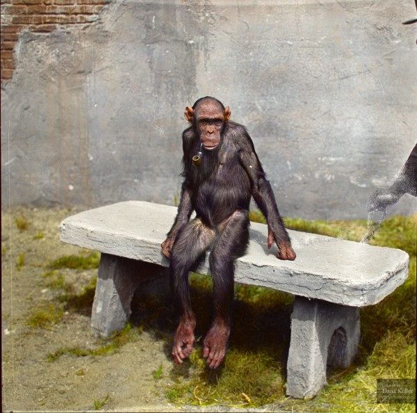 42 More Magically Restored Images From The Past That Will Leave You ...